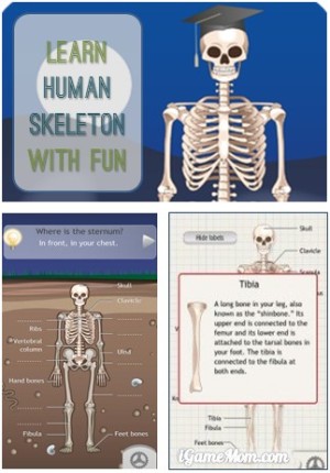 Learn about Human Skeleton with D.Bones