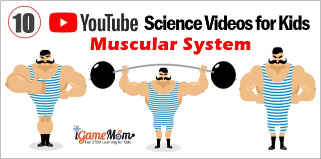YouTube Science Videos Teaching Kids Human Body Muscular System