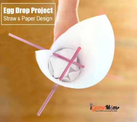 Successful Egg Drop Project Design with Straw and Paper
